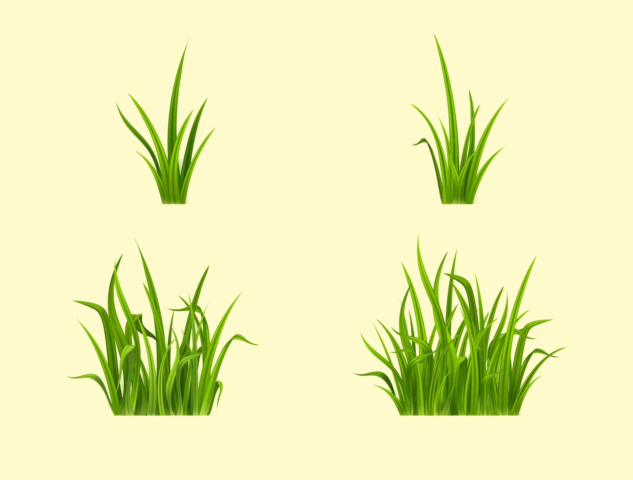 Grass Vector: Lush Greenery Illustrations - Graphic a2z