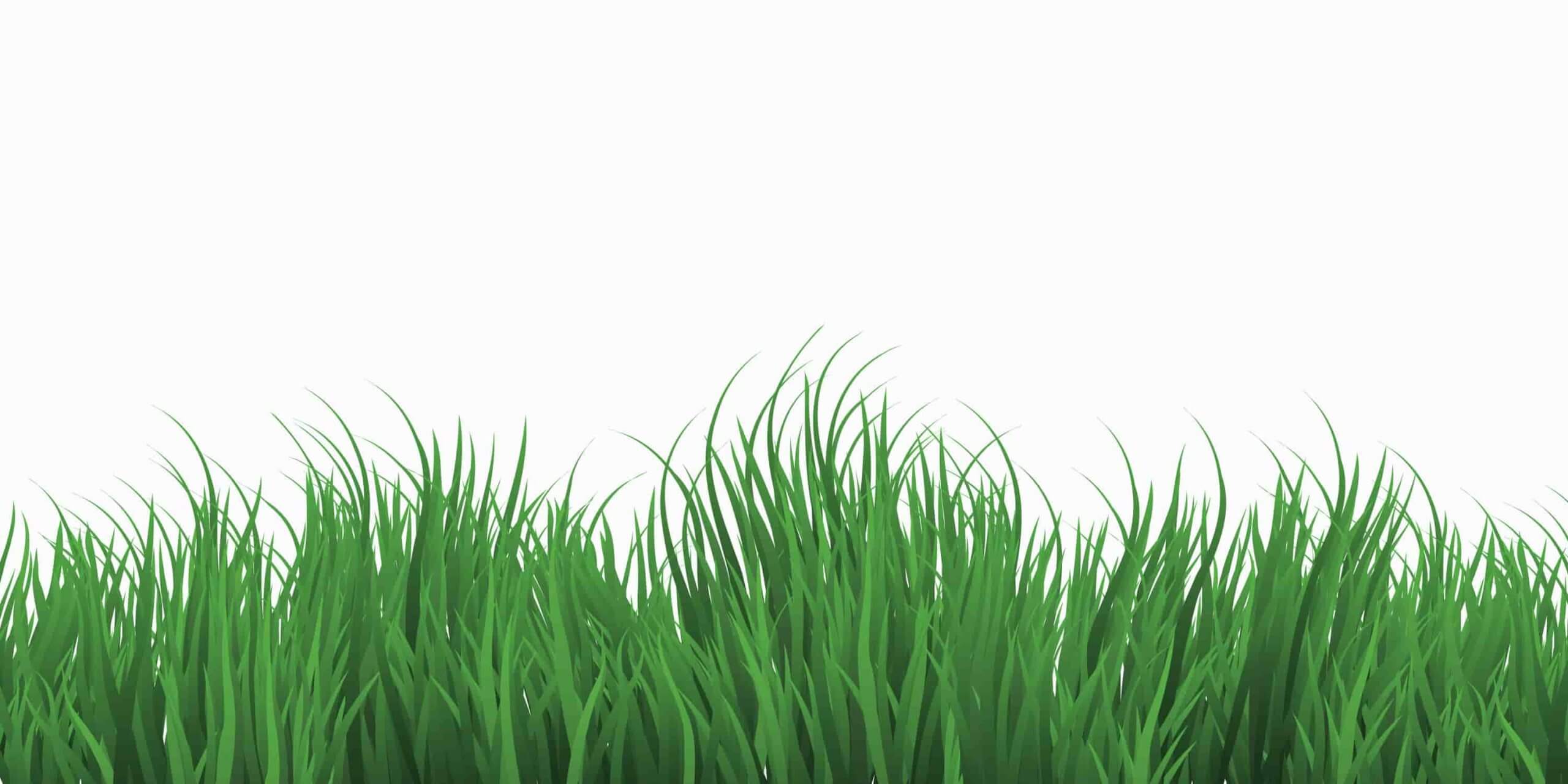 Grass Vector Image: Lush Greenery Illustrations - Graphic a2z