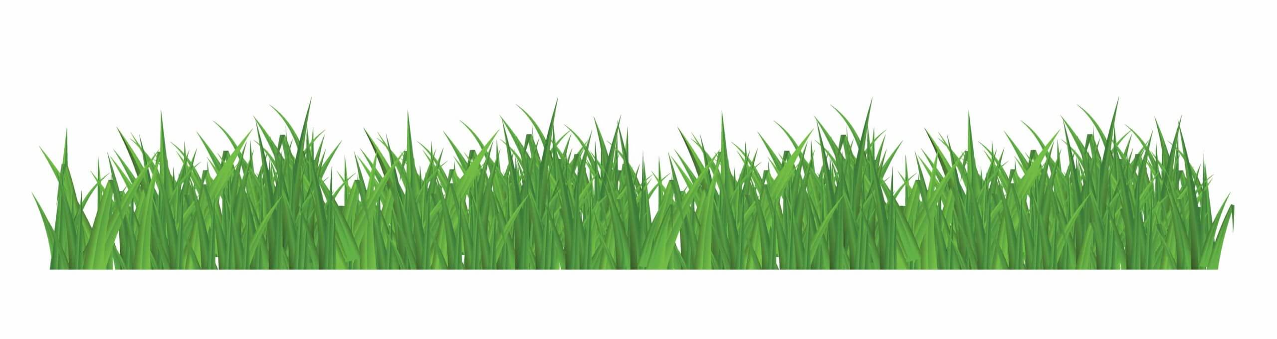 Free Grass Vector Art: Lush Greenery Illustrations - Graphic a2z