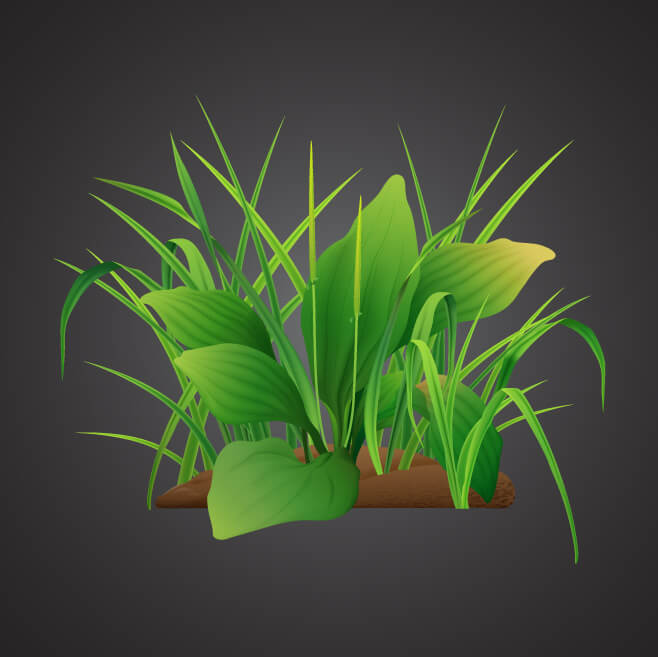 Grass Vector: Lush Greenery Illustrations - Graphic a2z