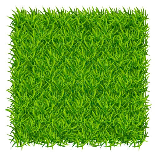 Cartoon Grass Texture: Playful Design Element - Graphic a2z
