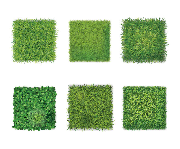 Greenscape Icons: Realistic Square Ground Cover Plant Designs - Graphic a2z