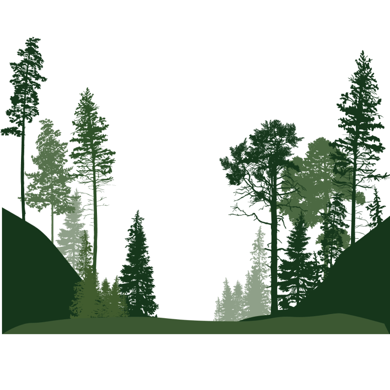 Forest of trees illustration, Drawing forest trees, leaf png - Graphic a2z